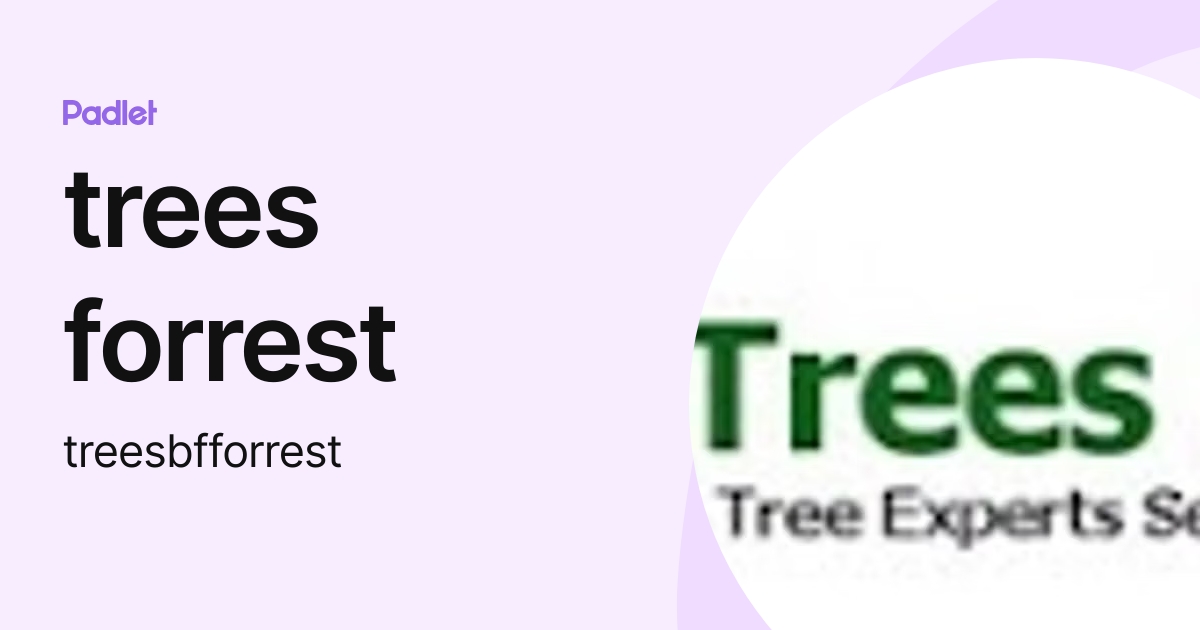 trees forrest (treesbfforrest) profile | Padlet