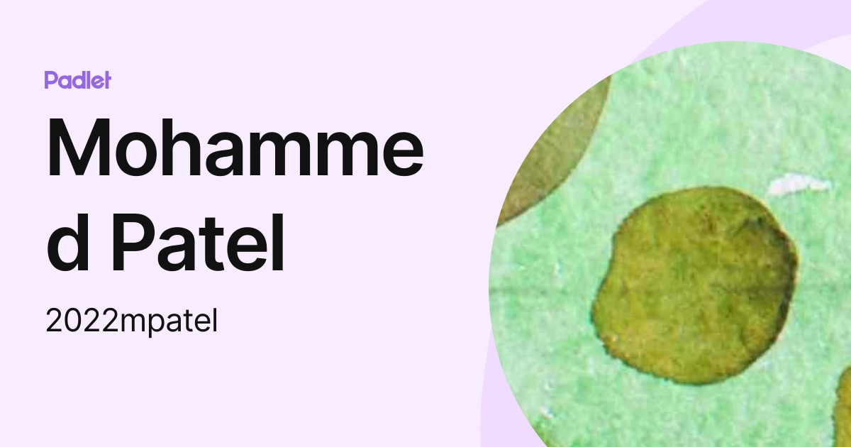 Mohammed Patel (2022mpatel) profile | Padlet