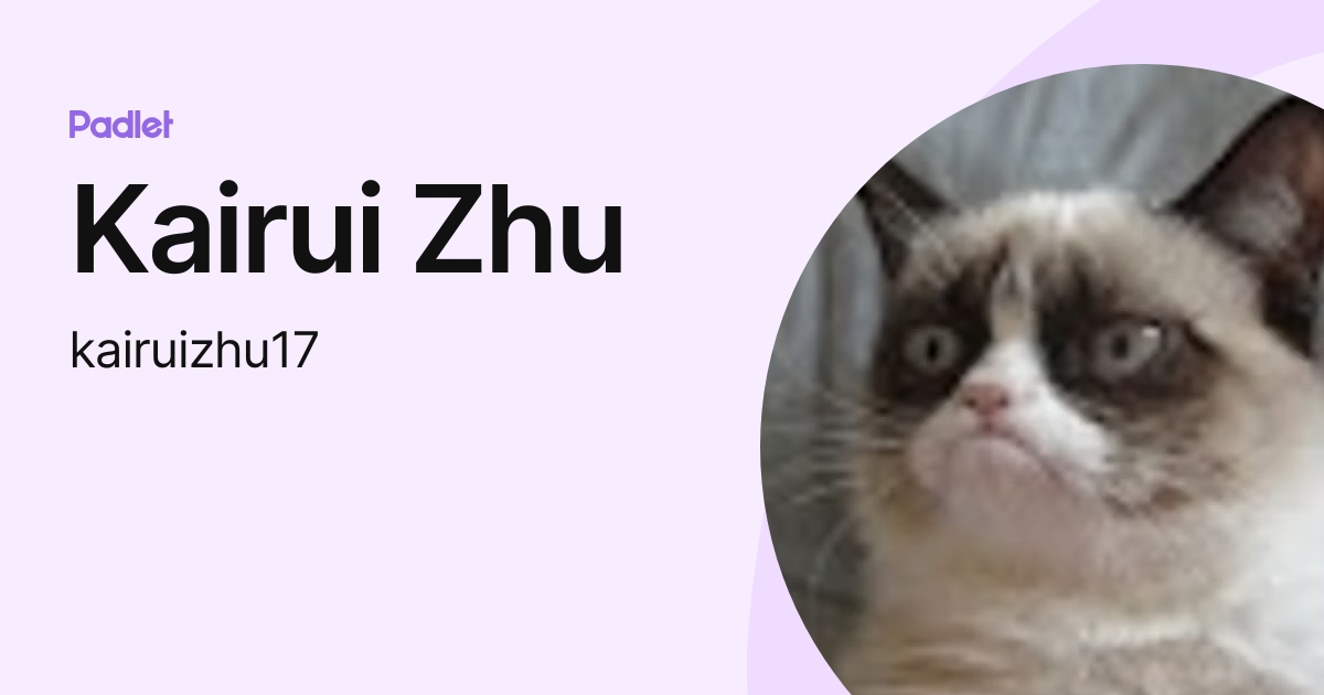 Kairui Zhu (kairuizhu17) profile | Padlet