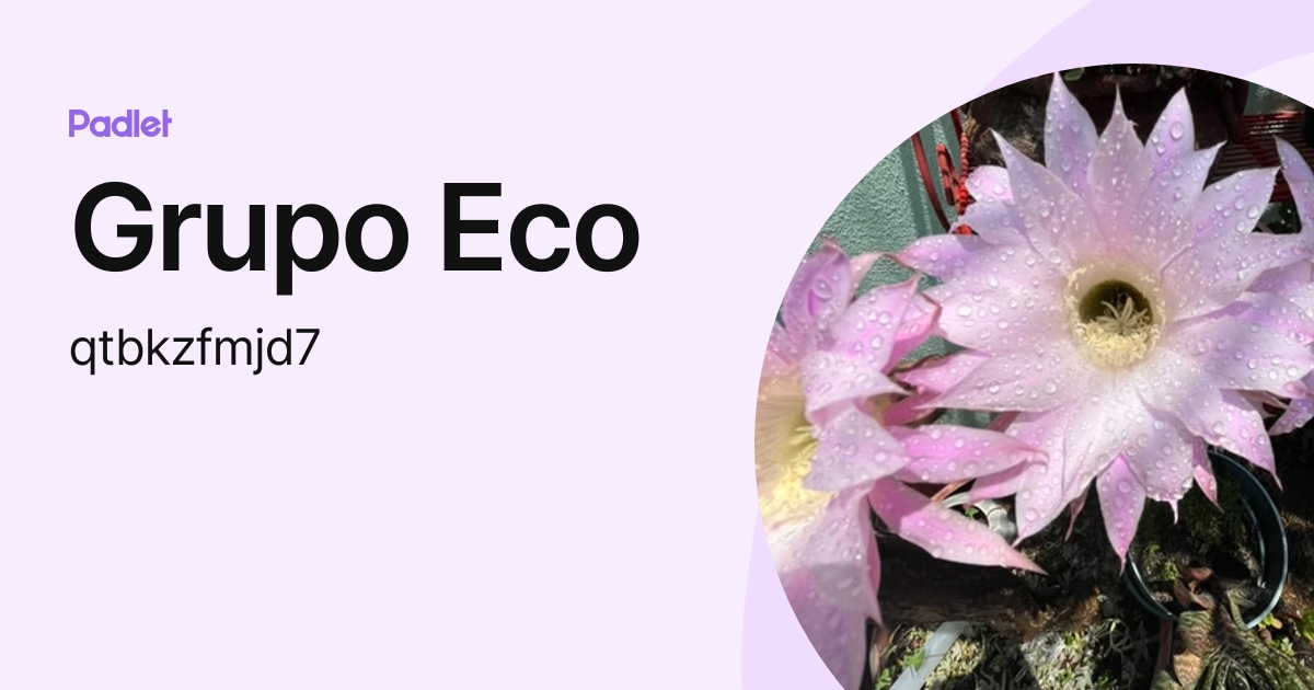 Grupo Eco (qtbkzfmjd7) profile | Padlet