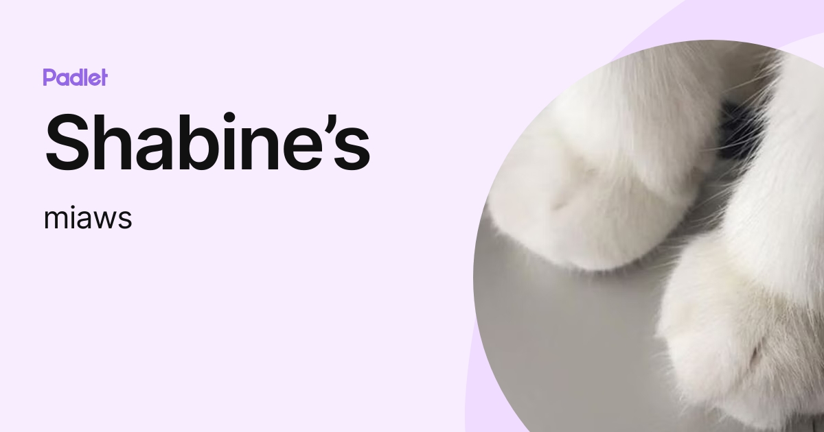Shabine’s (miaws) profile | Padlet