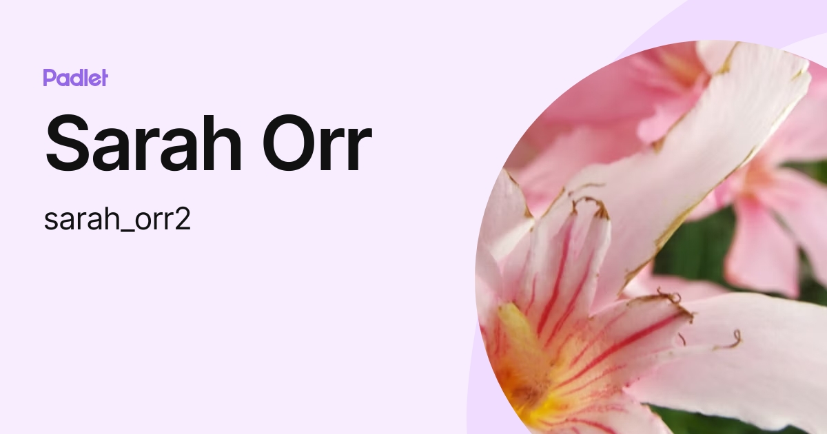 Sarah Orr (sarah_orr2) profile | Padlet