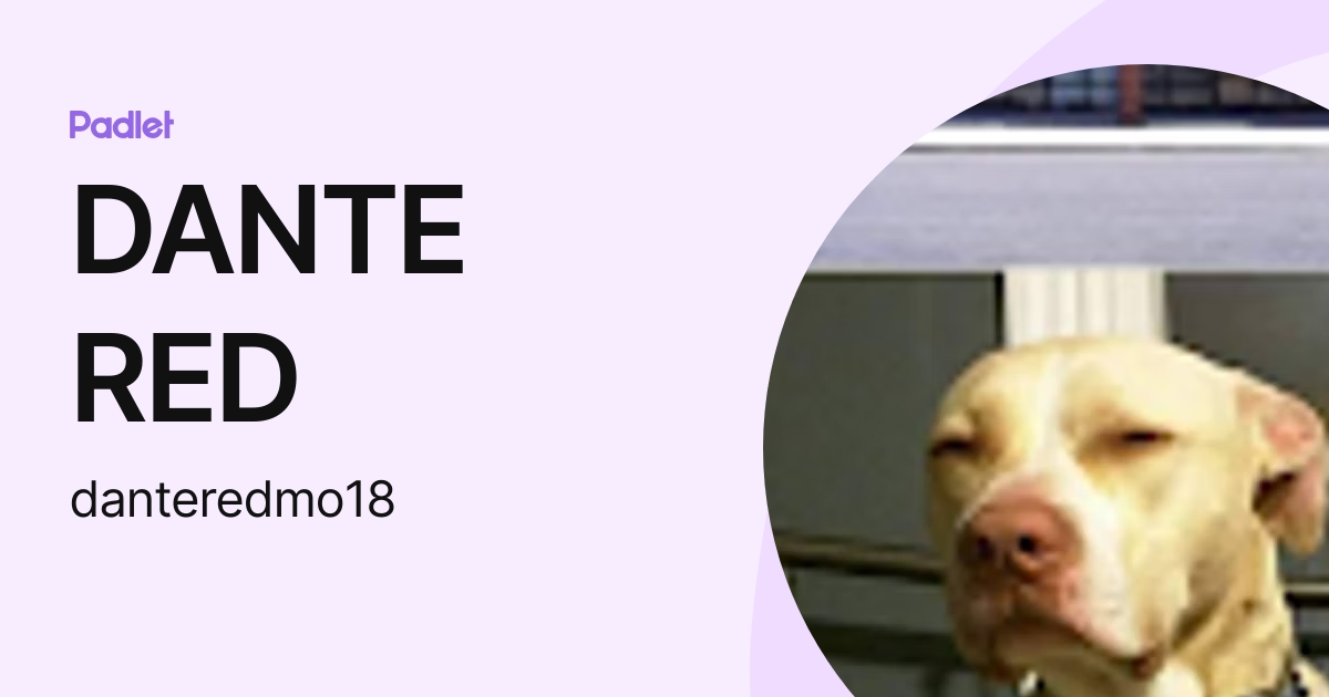 DANTE RED (danteredmo18) profile | Padlet
