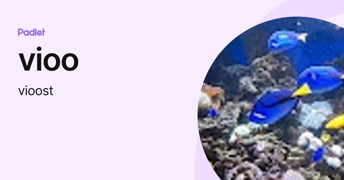 vioo (vioost) profile | Padlet