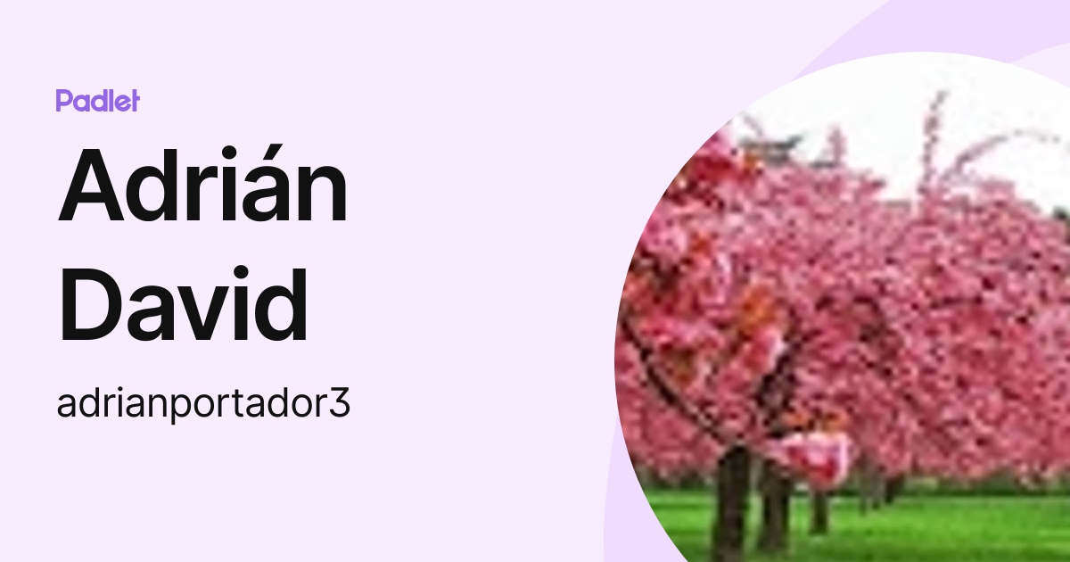 Adrián David (adrianportador3) profile | Padlet