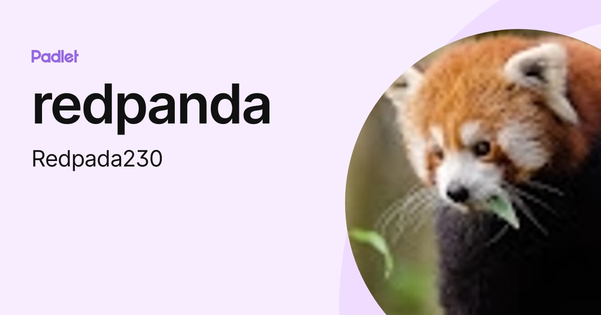 redpanda (Redpada230) profile | Padlet