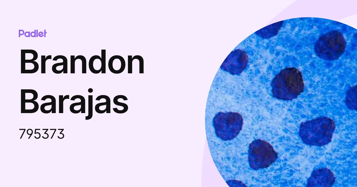 Brandon Barajas (795373) profile | Padlet