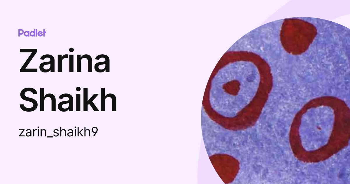 Zarina Shaikh (zarin_shaikh9) profile | Padlet
