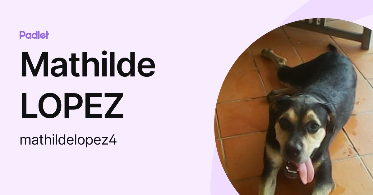 Profil de Mathilde LOPEZ (mathildelopez4) | Padlet