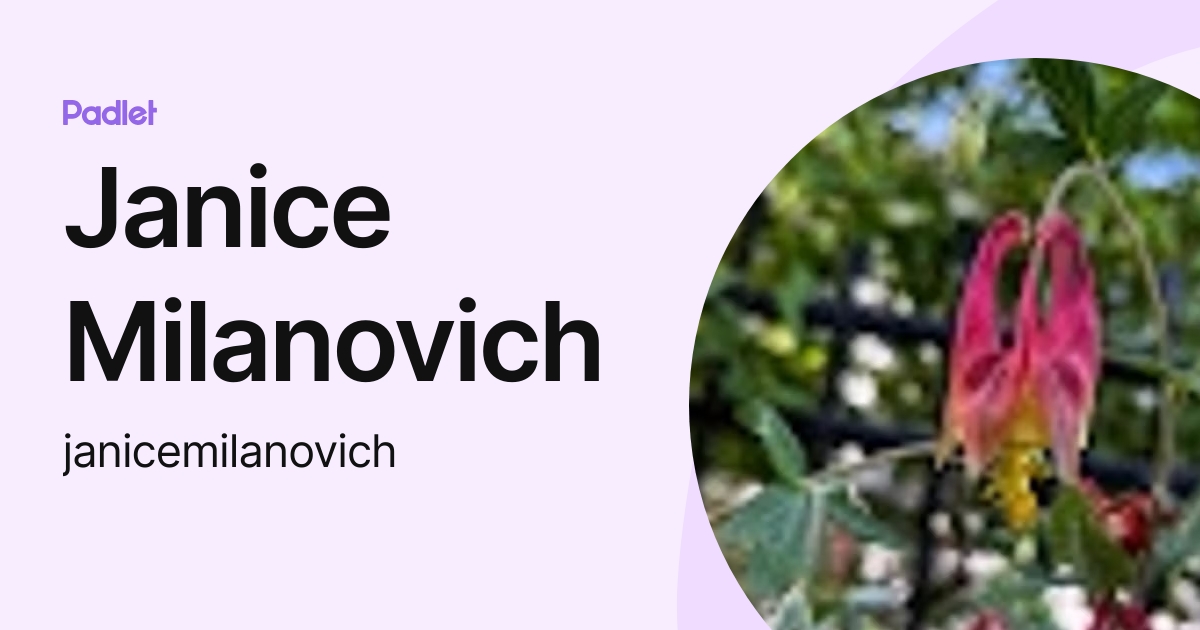 Janice Milanovich (janicemilanovich) profile | Padlet