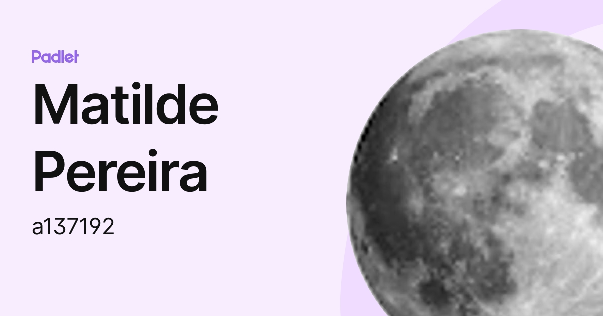 Matilde Pereira (a137192) profile | Padlet