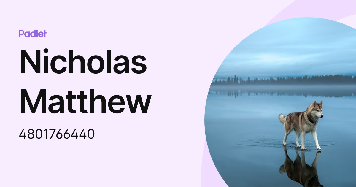 Nicholas Matthew (4801766440) profile | Padlet
