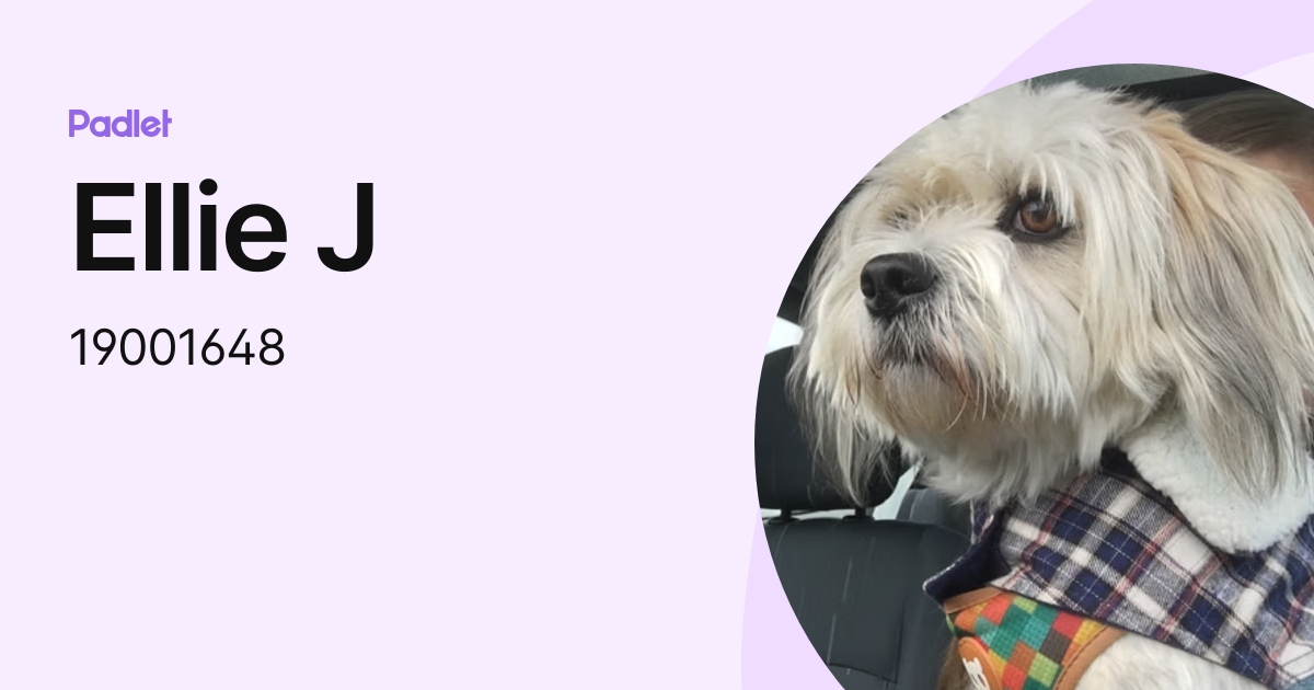 Ellie J (19001648) profile | Padlet