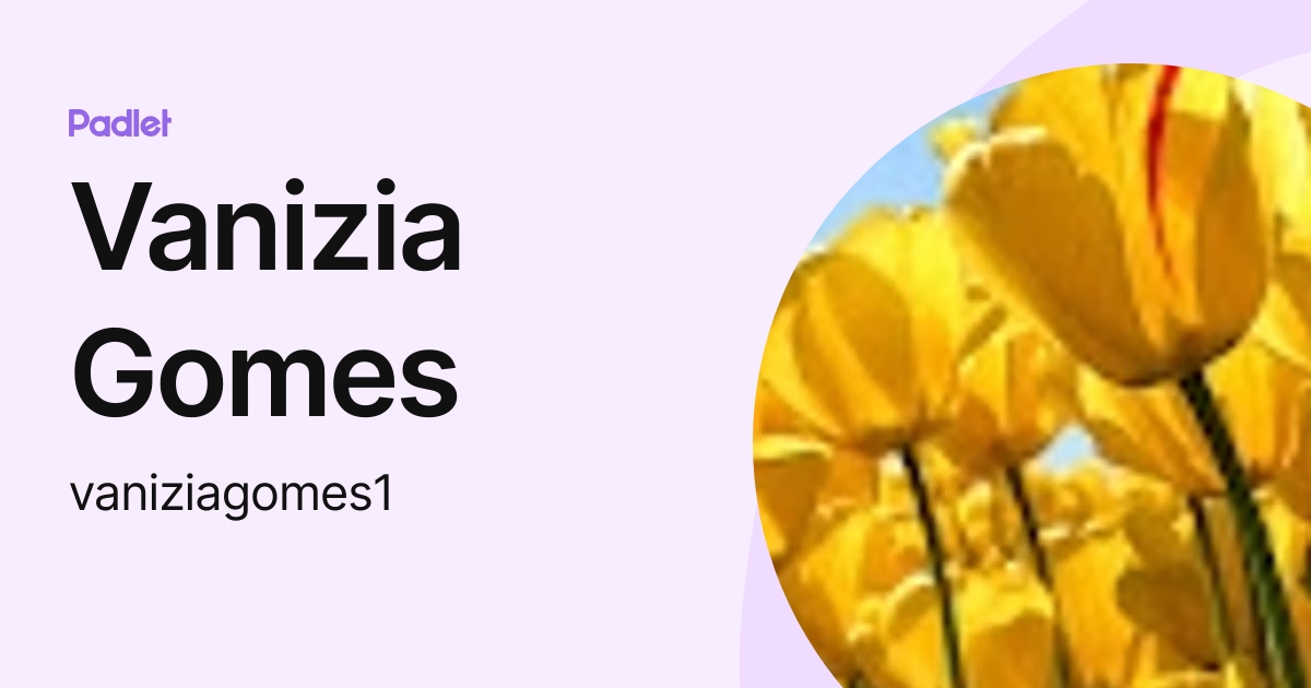 Vanizia Gomes (vaniziagomes1) profile | Padlet