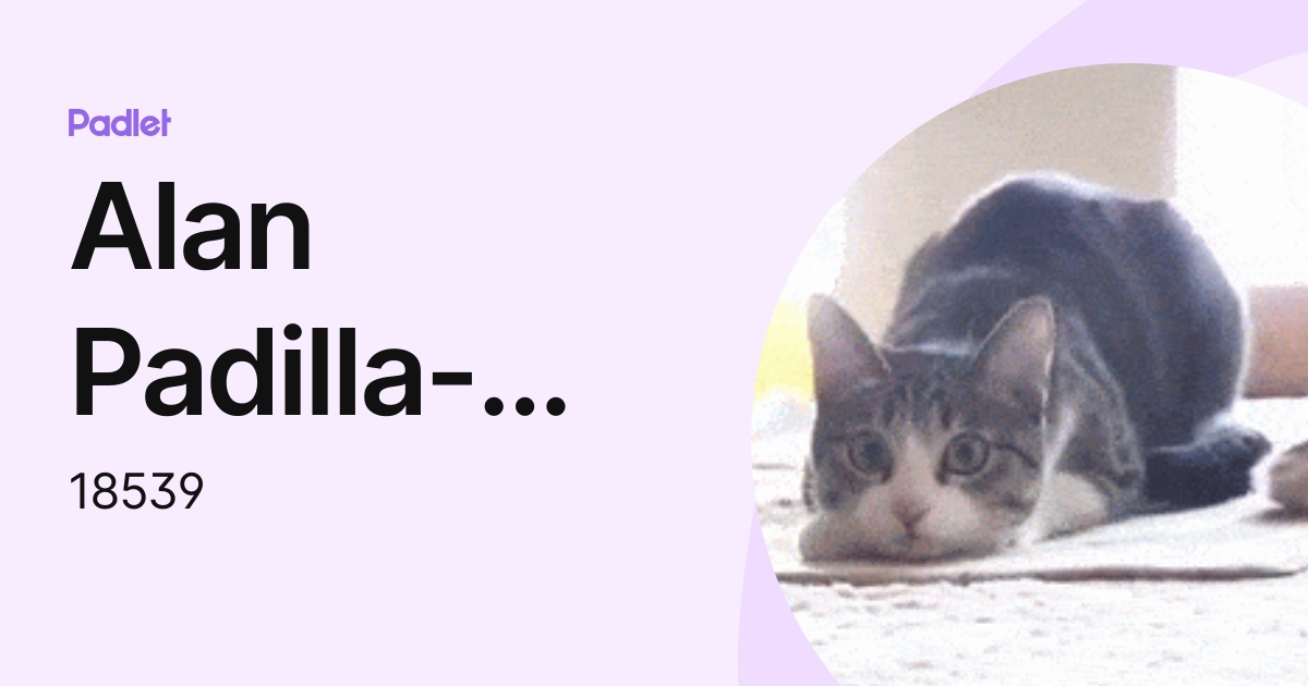 Alan Padilla-Andrade (18539) profile | Padlet