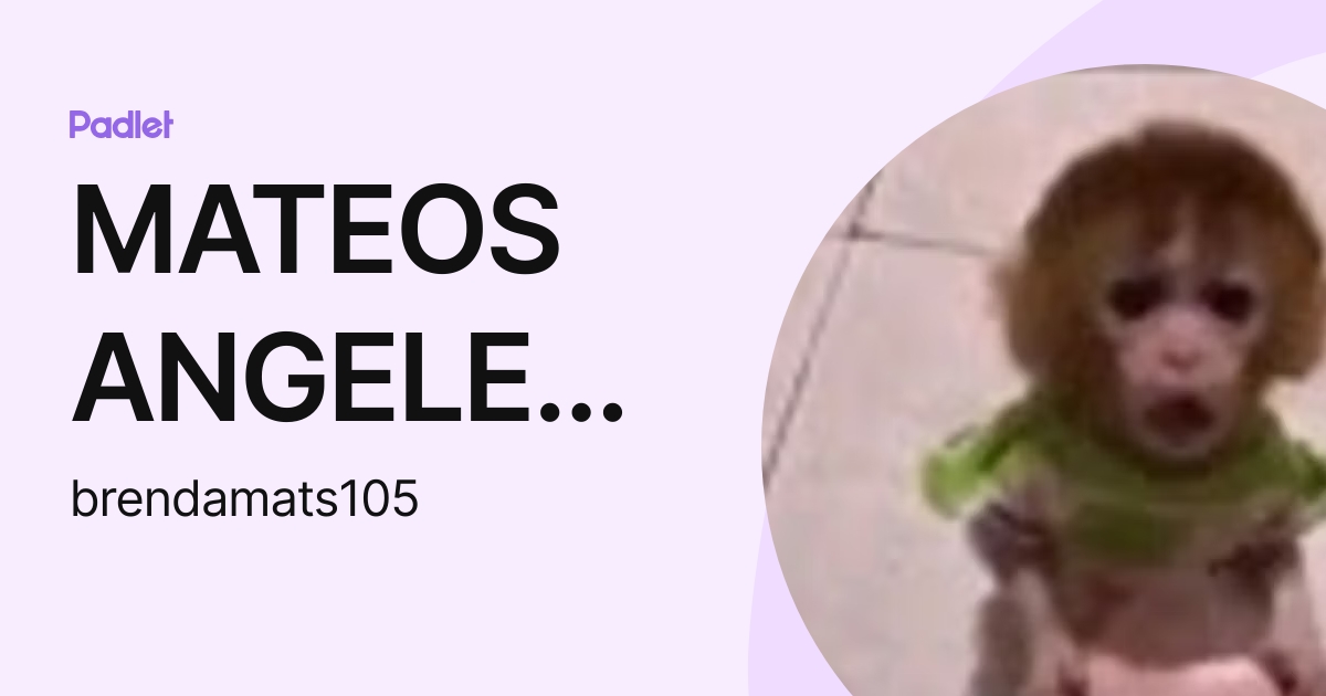MATEOS ANGELES BRENDA (brendamats105) profile | Padlet