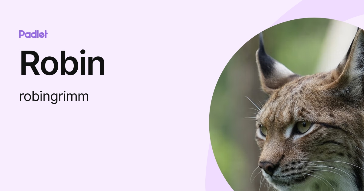 Robin (robingrimm) profile | Padlet