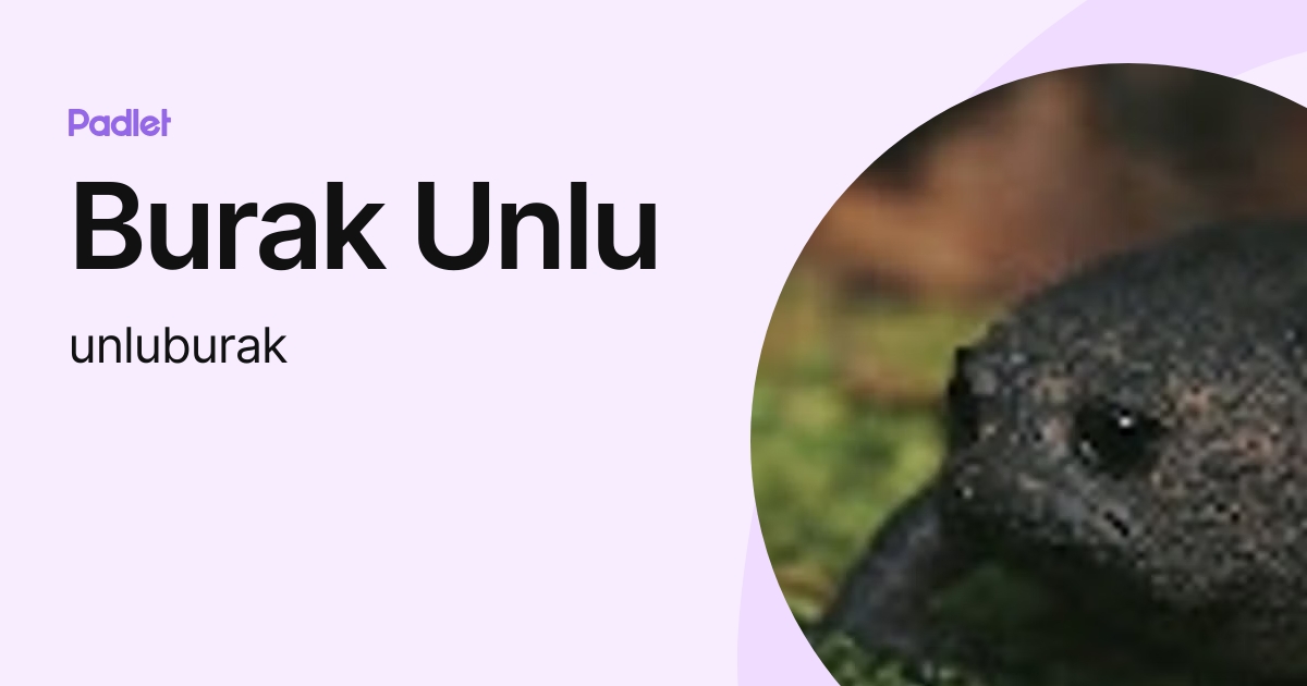 Burak Unlu (unluburak) profile | Padlet