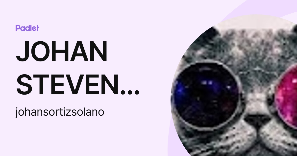 JOHAN STEVEN ORTIZ SOLANO (johansortizsolano) profile | Padlet