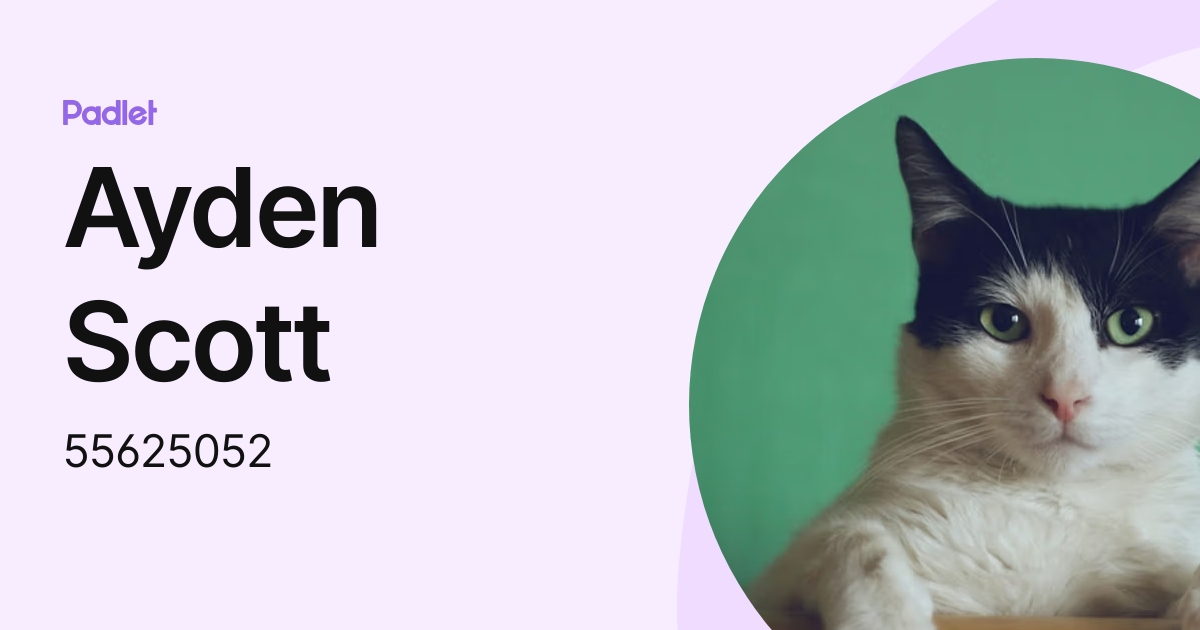 Ayden Scott (55625052) profile | Padlet