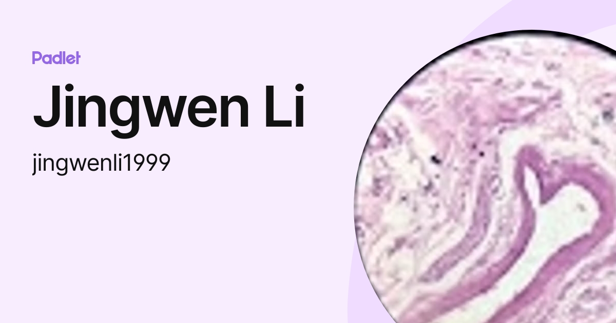 Jingwen Li (jingwenli1999) profile | Padlet
