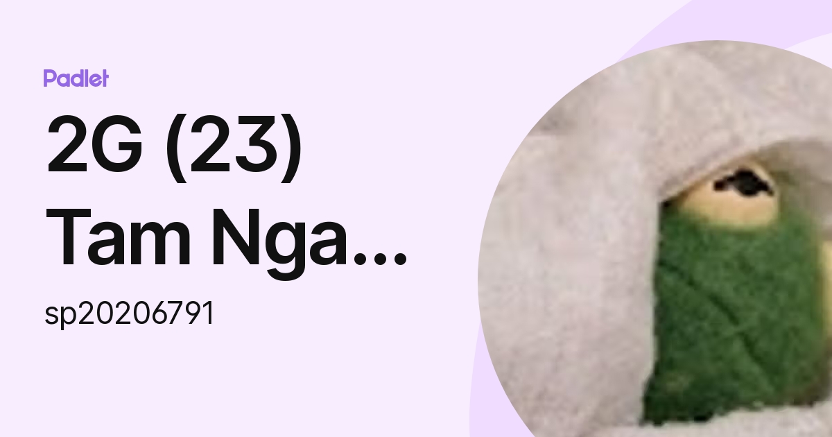 2G (23) Tam Nga Yu (sp20206791) profile | Padlet
