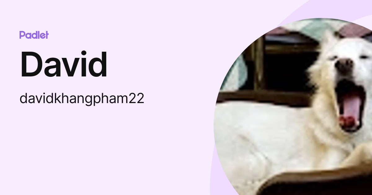 David (davidkhangpham22) profile | Padlet