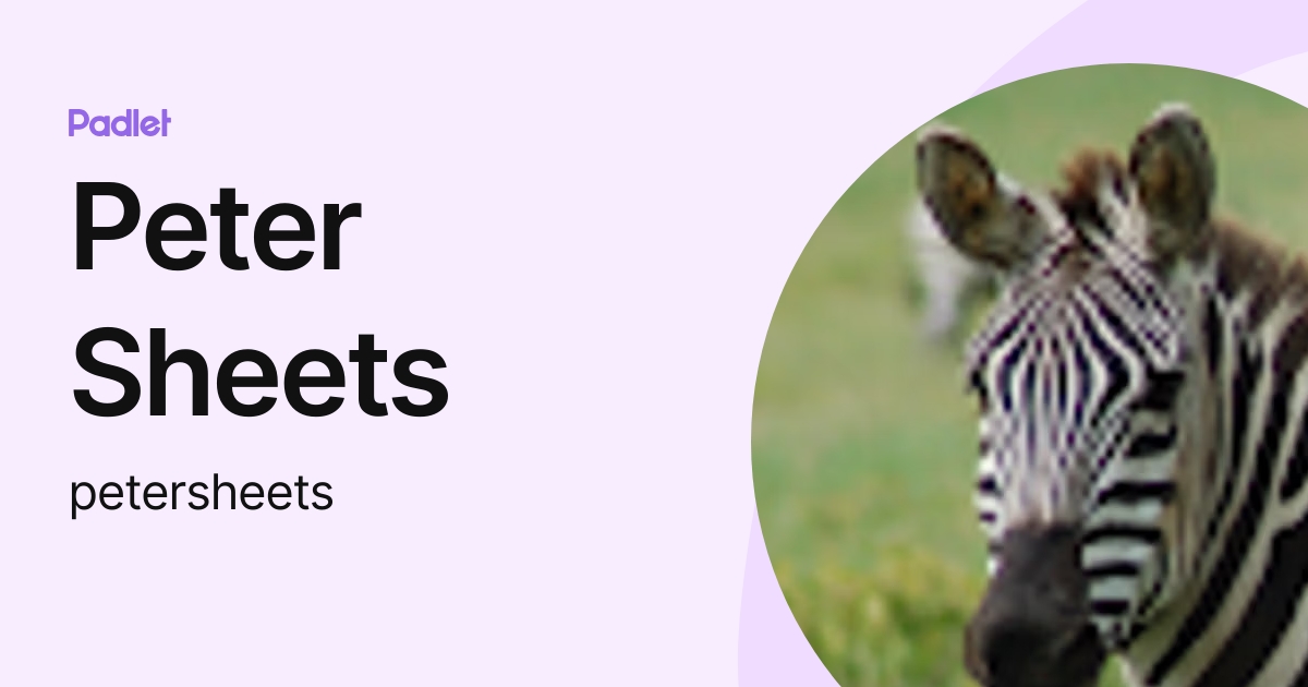 Peter Sheets (petersheets) profile | Padlet