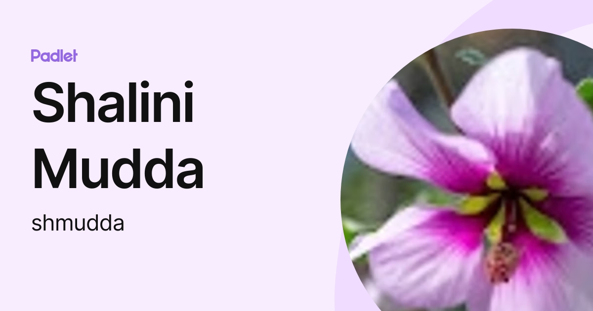 Shalini Mudda (shmudda) profile | Padlet