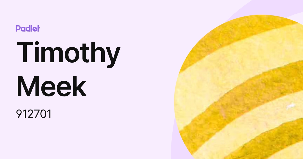 Timothy Meek (912701) profile | Padlet