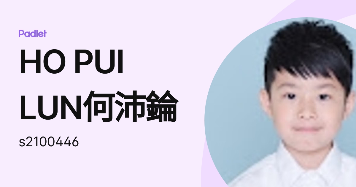HO PUI LUN何沛錀 (s2100446) profile | Padlet