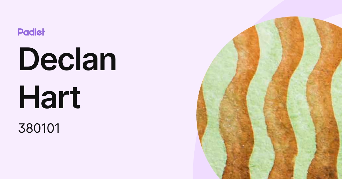 Declan Hart (380101) profile | Padlet