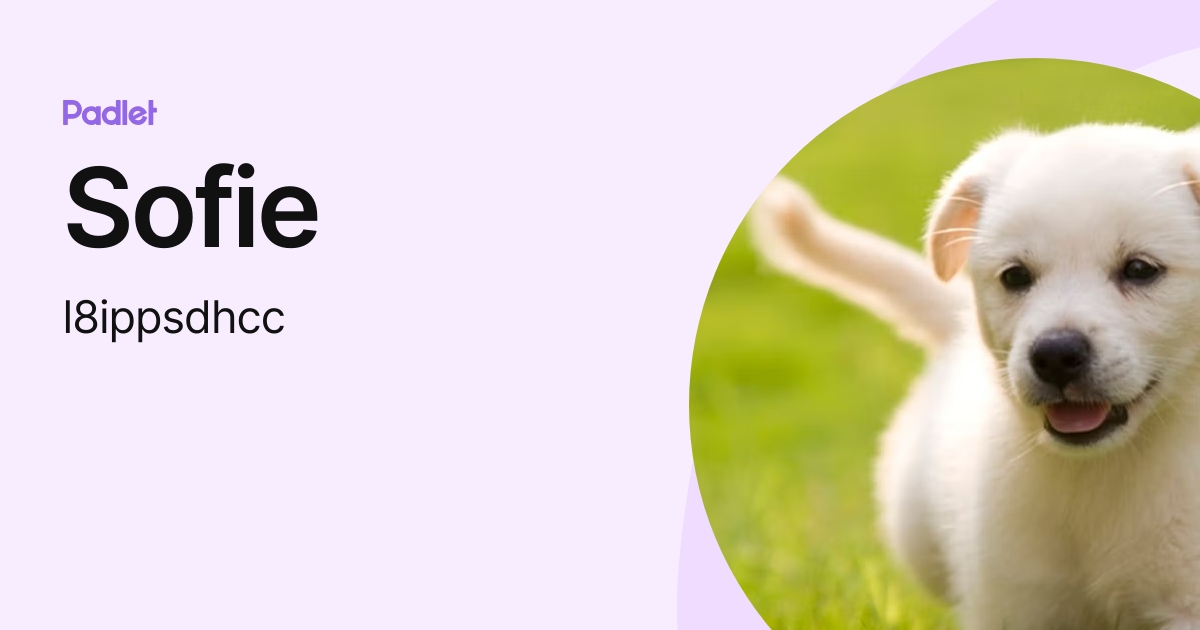 Sofie (l8ippsdhcc) profile | Padlet