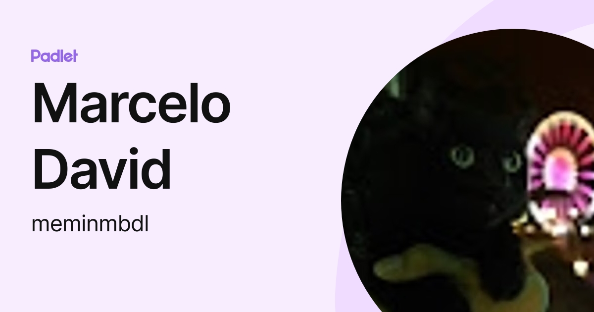 Marcelo David (meminmbdl) profile | Padlet