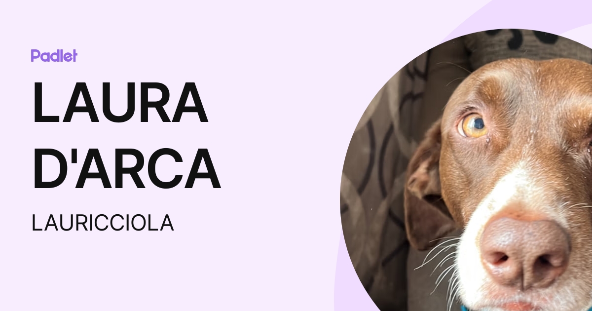 LAURA D'ARCA (LAURICCIOLA) profile | Padlet