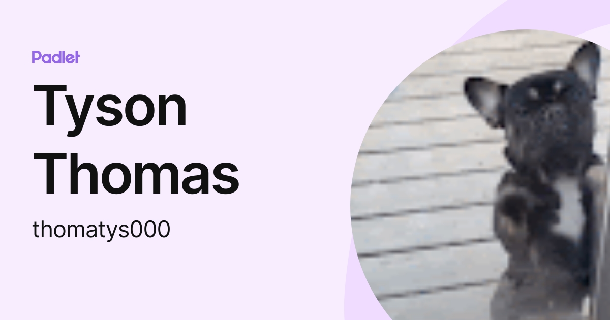 Tyson Thomas (thomatys000) profile | Padlet