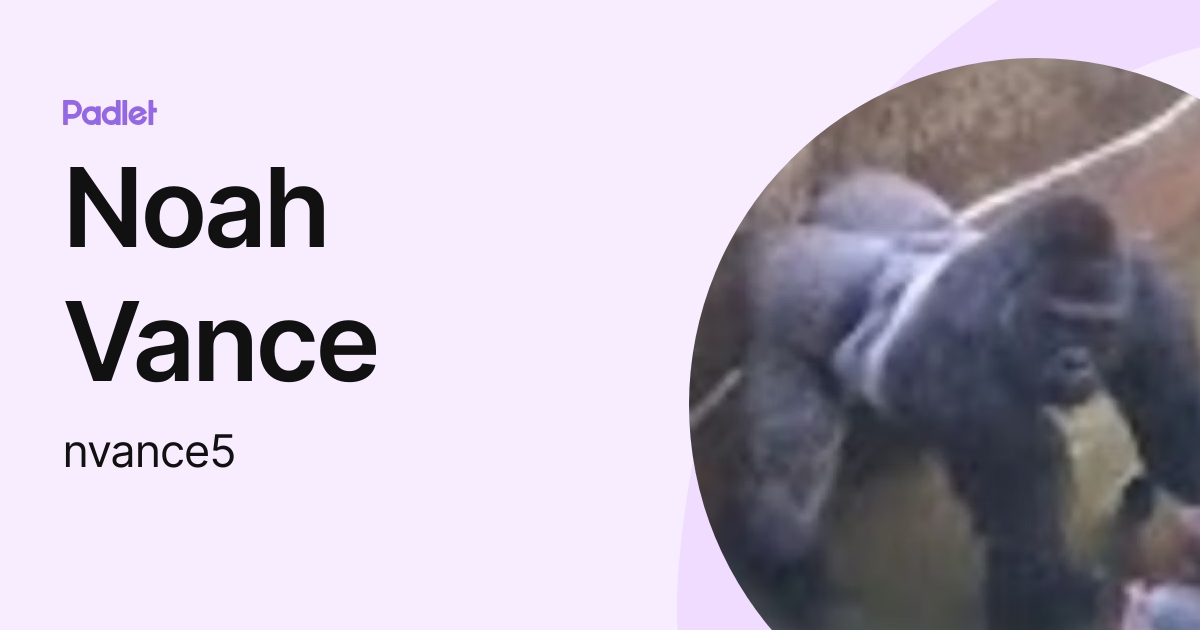 Noah Vance (nvance5) profile | Padlet