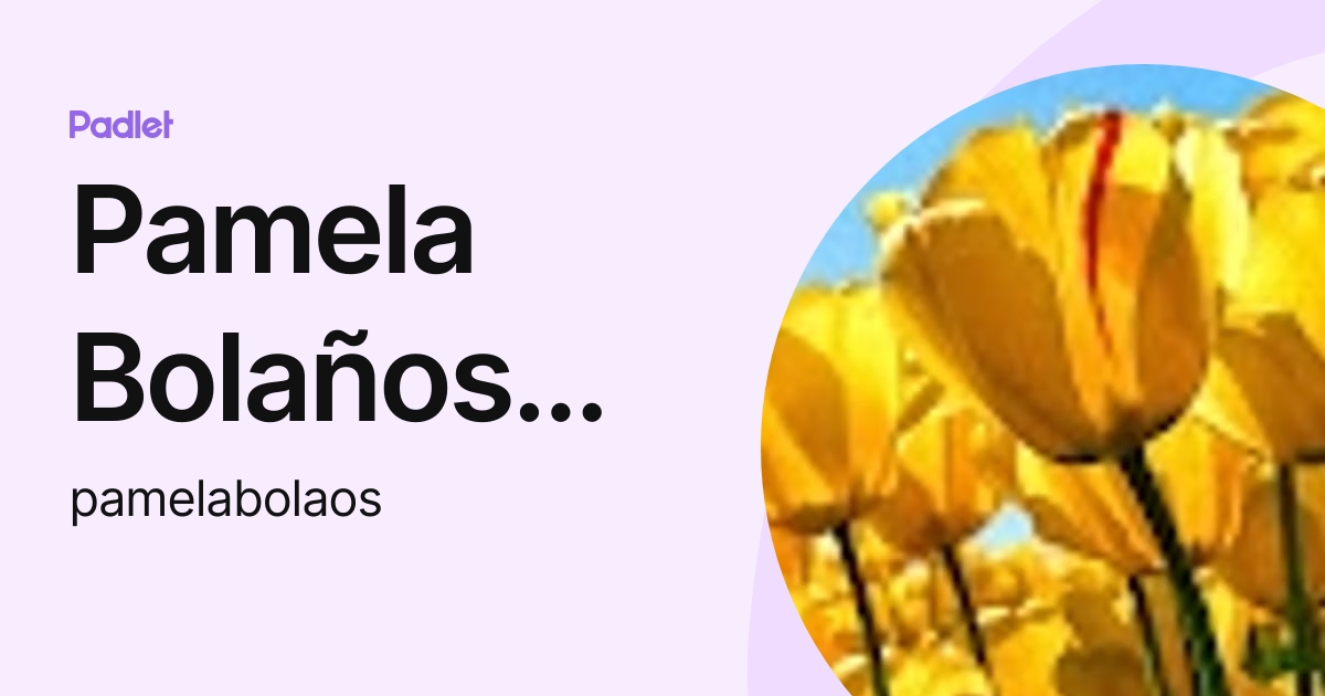 Pamela Bolaños Angulo (pamelabolaos) profile | Padlet