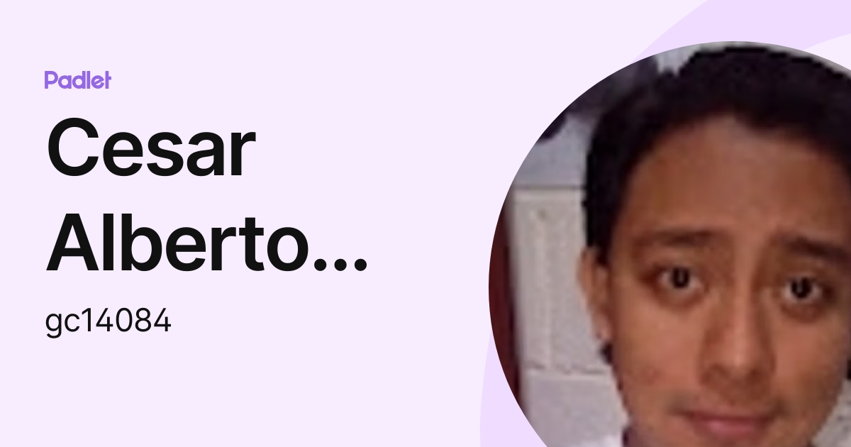 Cesar Alberto Garcia Colindres (gc14084) profile | Padlet