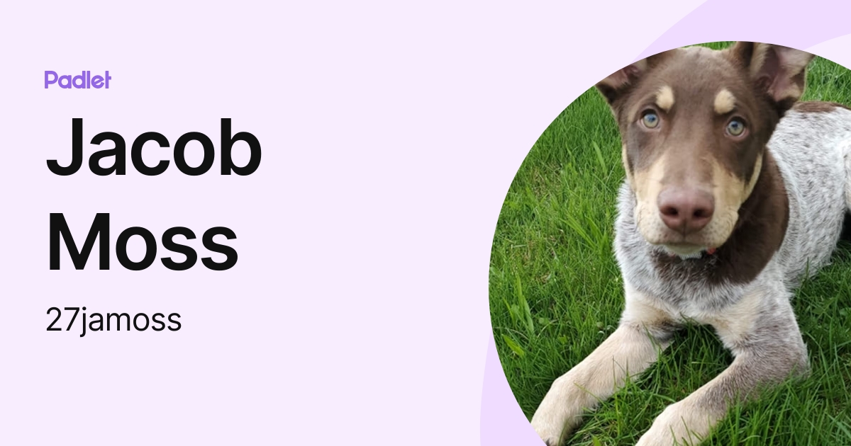 Jacob Moss (27jamoss) profile | Padlet