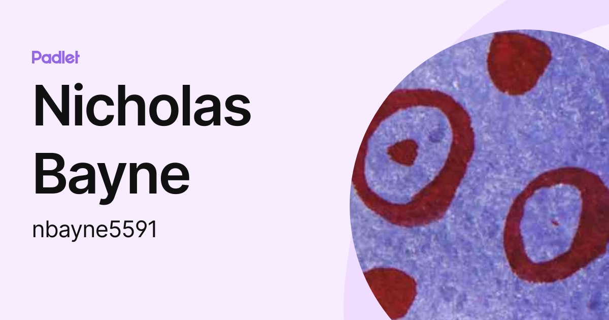 Nicholas Bayne (nbayne5591) profile | Padlet