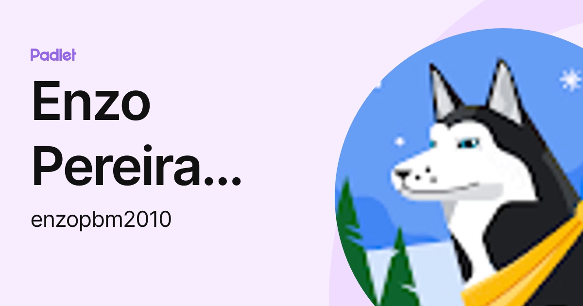 Enzo Pereira Bajon de Matos (enzopbm2010) perfil | Padlet