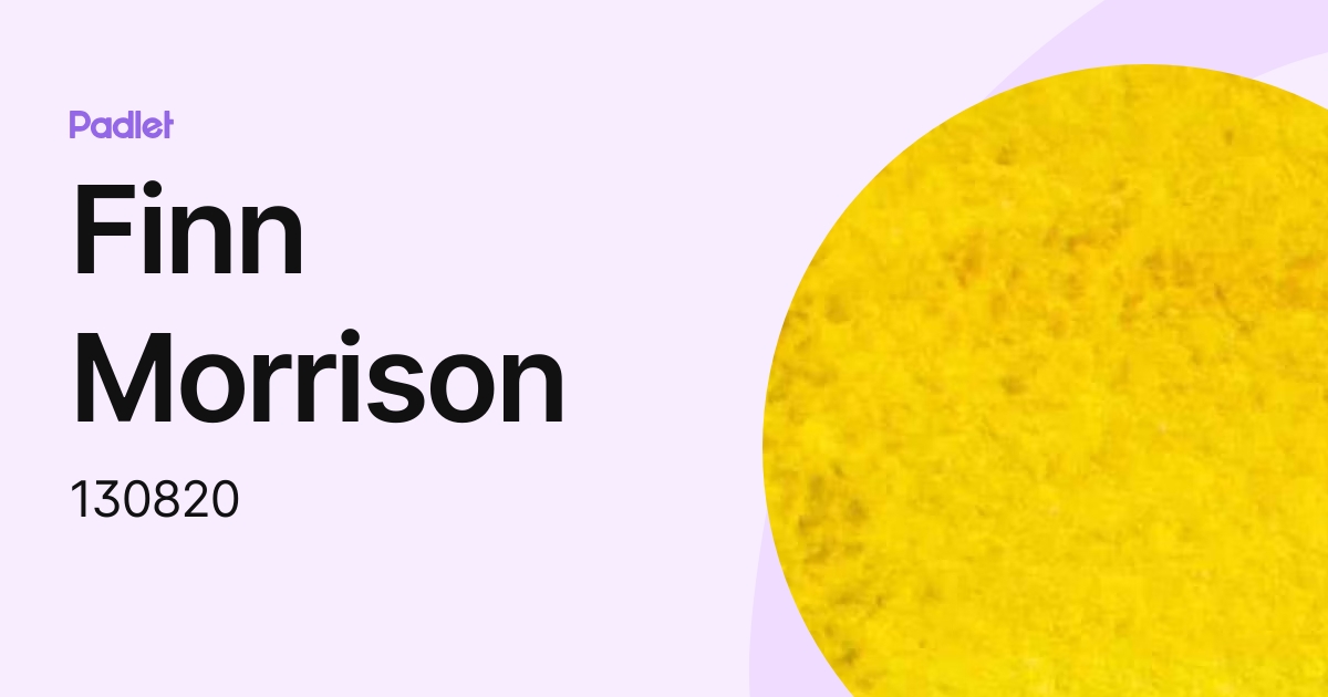 Finn Morrison (130820) profile | Padlet