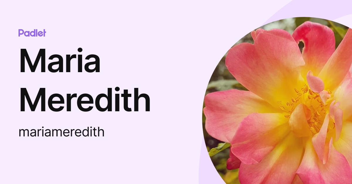 Maria Meredith (mariameredith) profile | Padlet