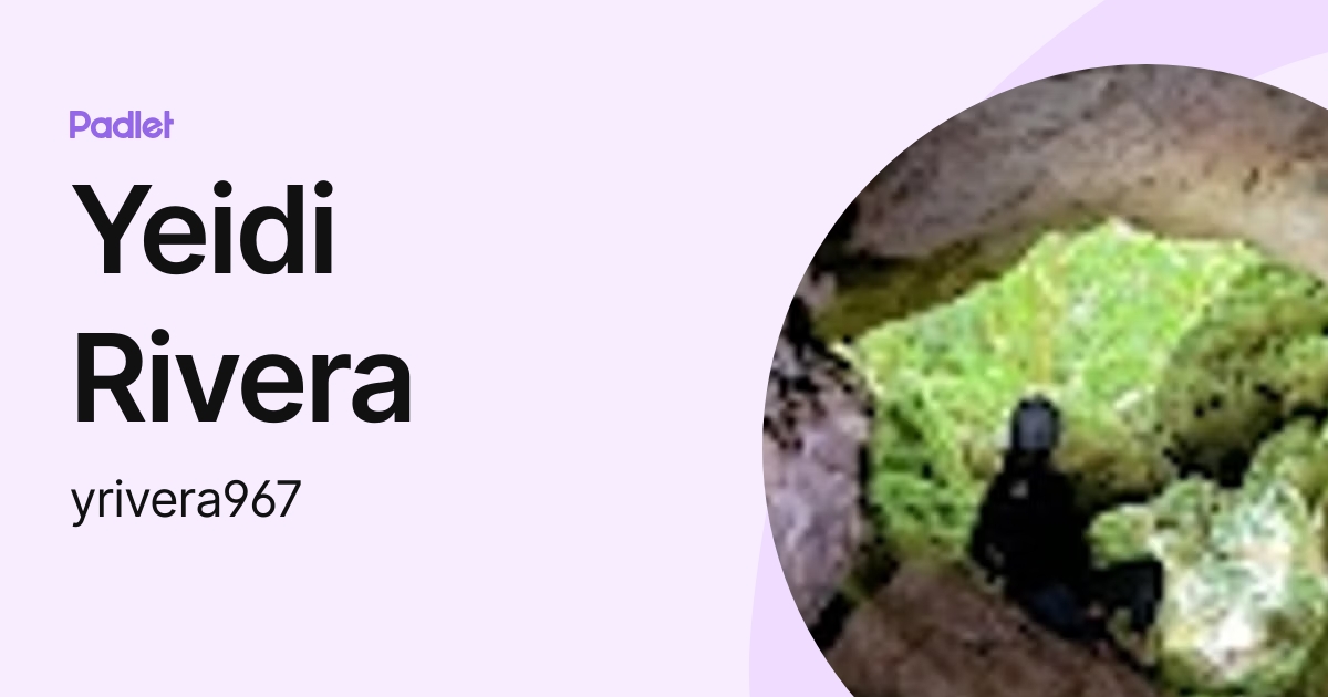 Yeidi Rivera (yrivera967) profile | Padlet