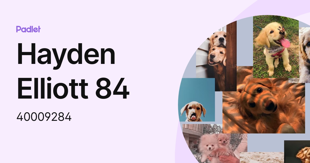 Hayden Elliott 84 (40009284) profile | Padlet