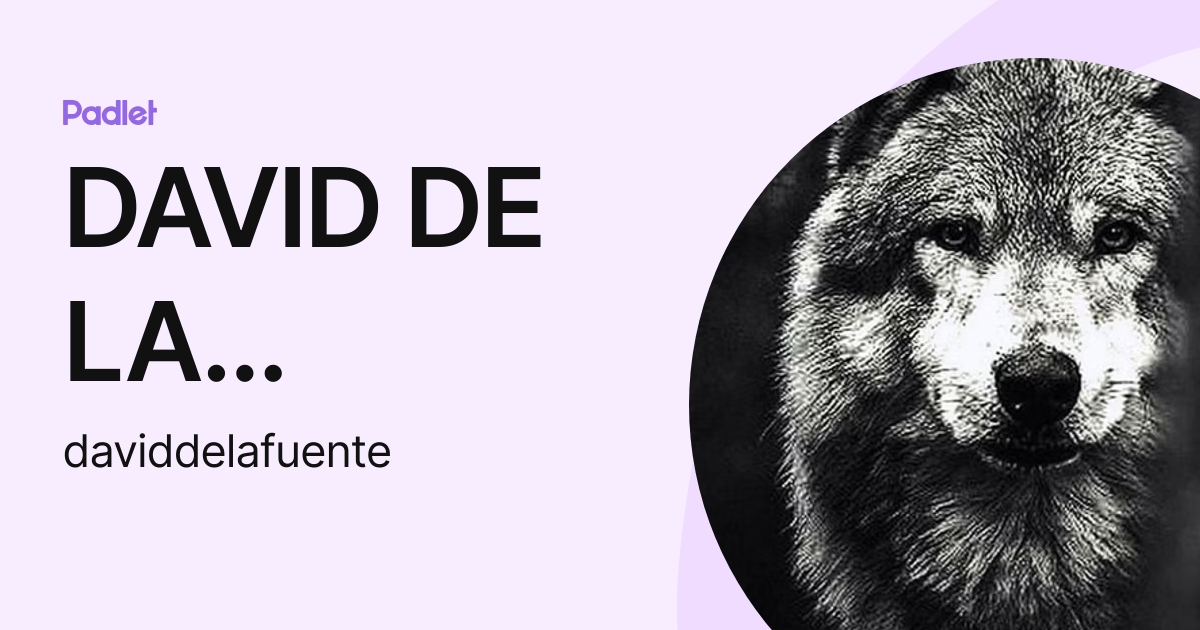 DAVID DE LA FUENTE BURROLA (daviddelafuente) profile | Padlet