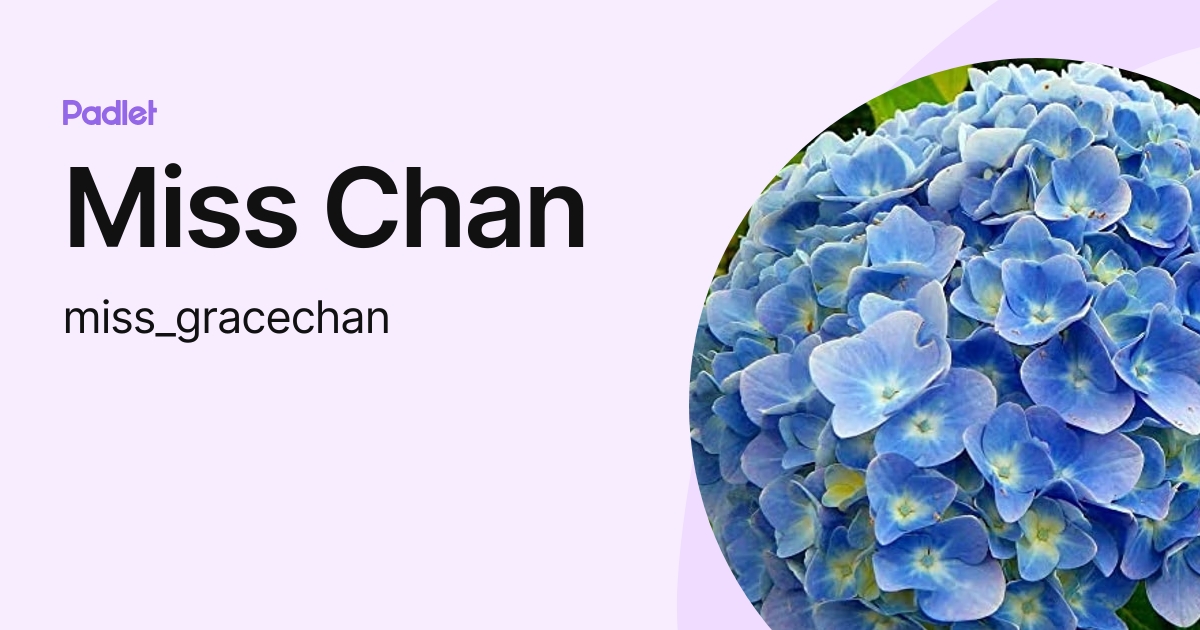 Miss Chan (miss_gracechan) profile | Padlet