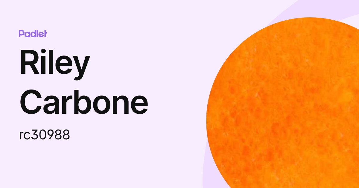 Riley Carbone (rc30988) profile | Padlet