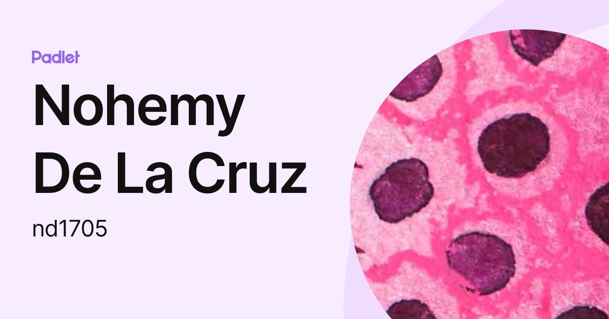 Nohemy De La Cruz (nd1705) profile | Padlet